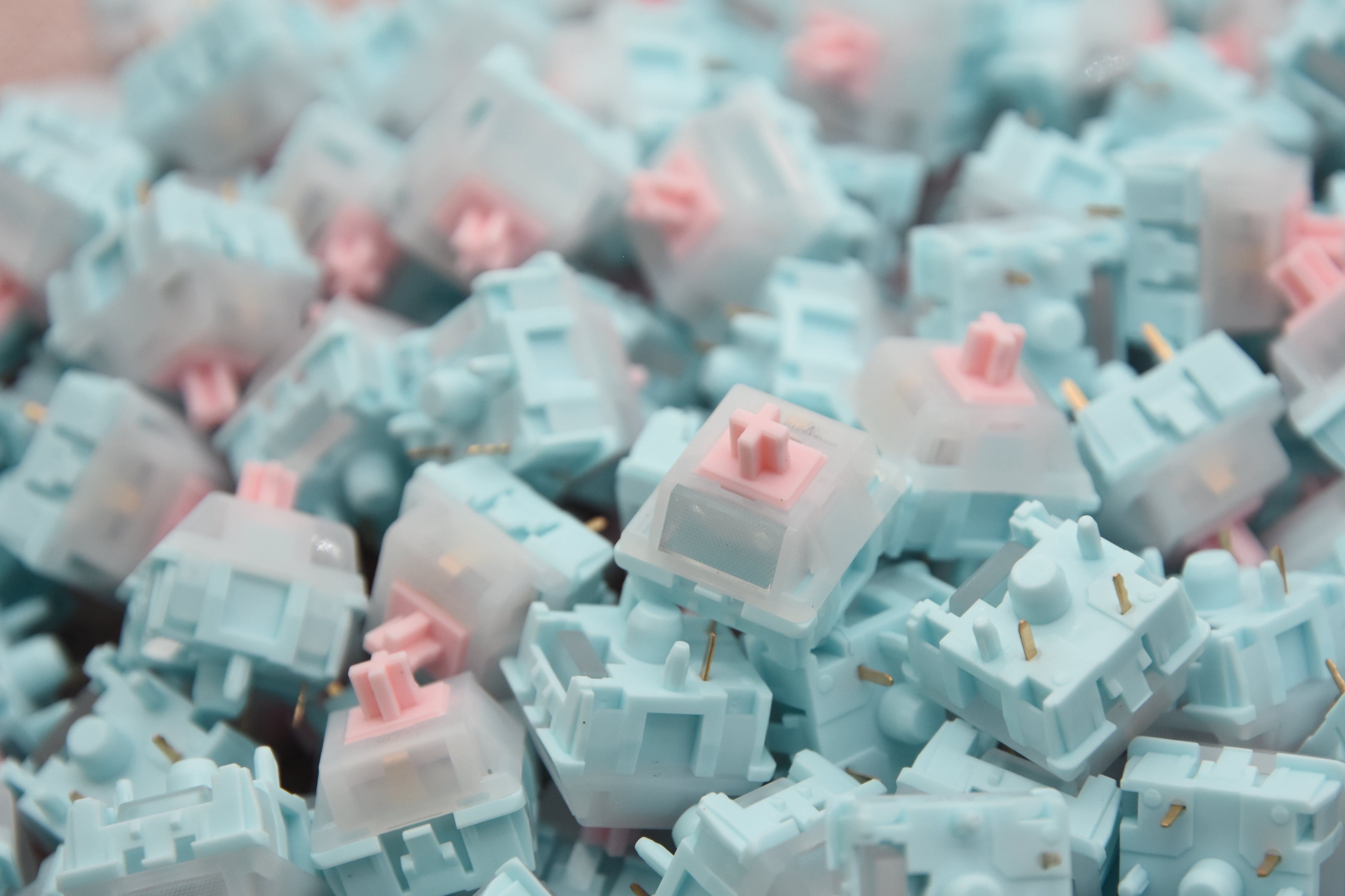 What Matters Most in Mechanical Keyboard Switches (Complete Guide ...