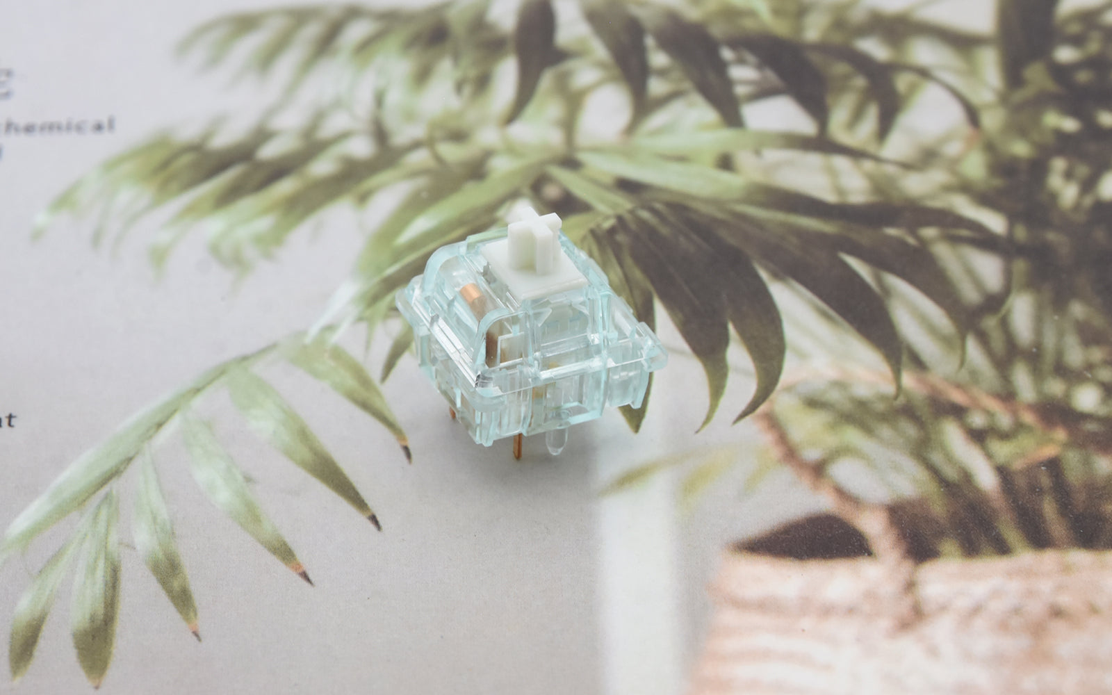 JWICK Switches – Vertex V1 & Prism Linear Switches