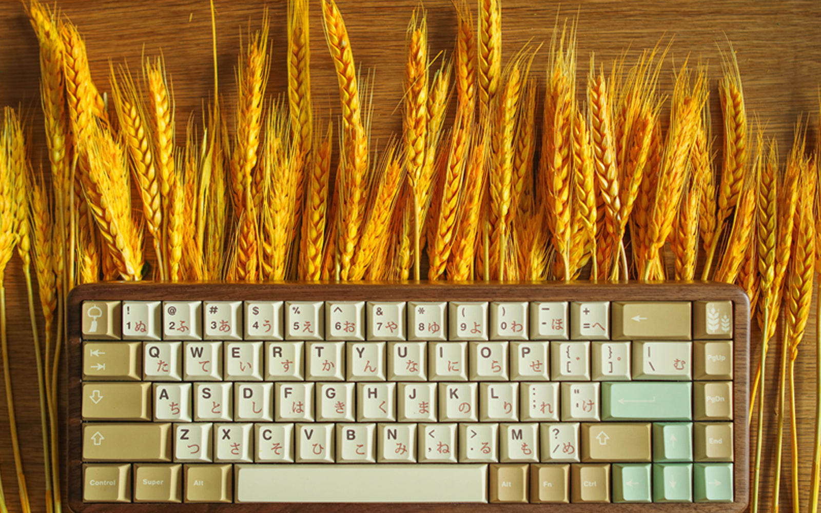 Exclusive Themed Keycaps – Elevate Your Keyboard with Unique Designs